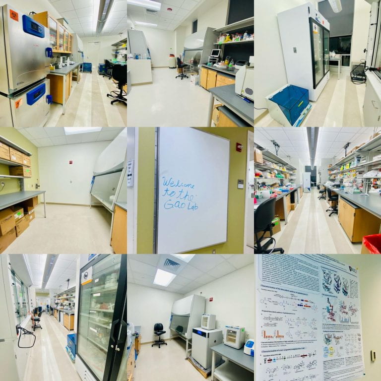 2021 – GAO LAB – University of Pennsylvania