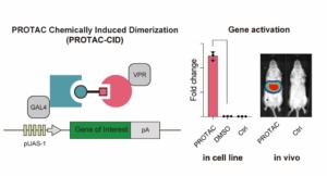 GAO LAB – University of Pennsylvania – Penn Engineering
