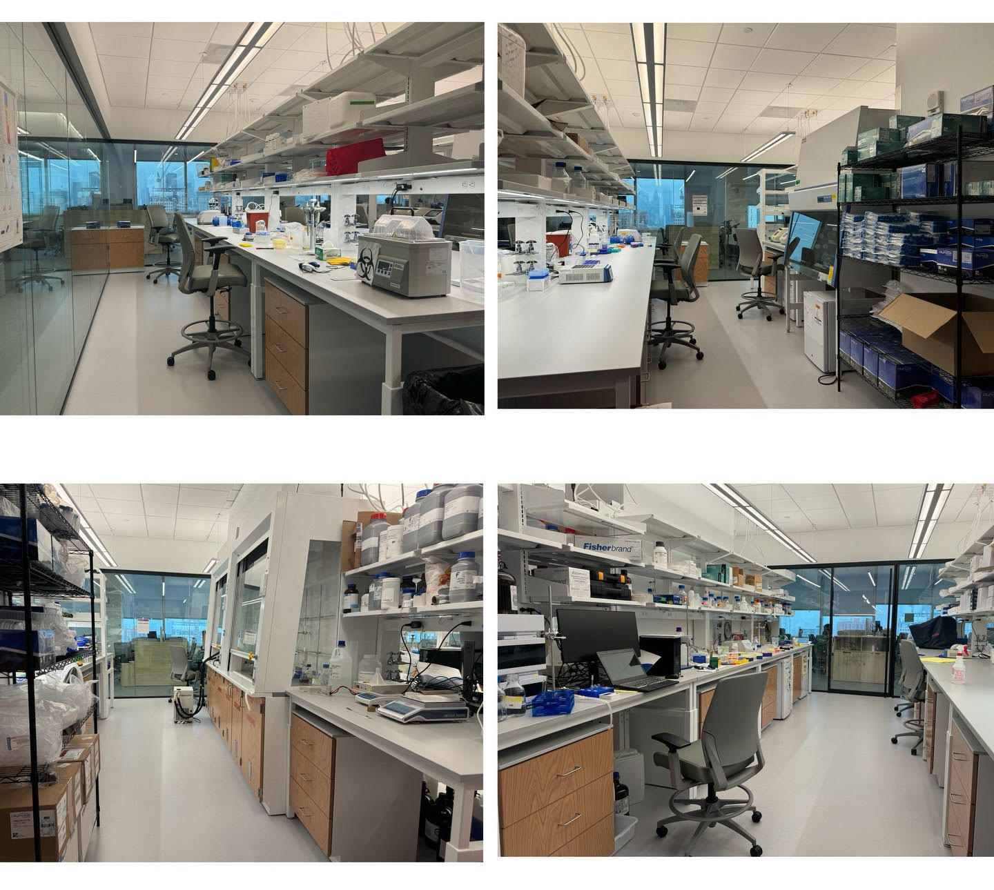 2024 – GAO LAB – University of Pennsylvania